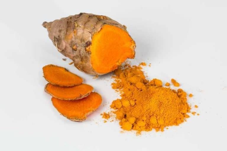 10 Best Herbs For Kidney Cleanse According To Experts
