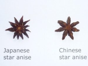 10 Remarkable Star Anise Health Benefits Backed By Research