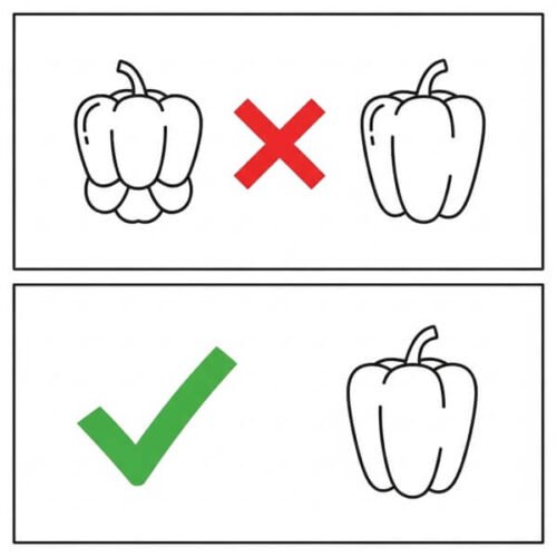 The Truth About Green Bell Peppers: Are They Actually Unripe And Why Do ...